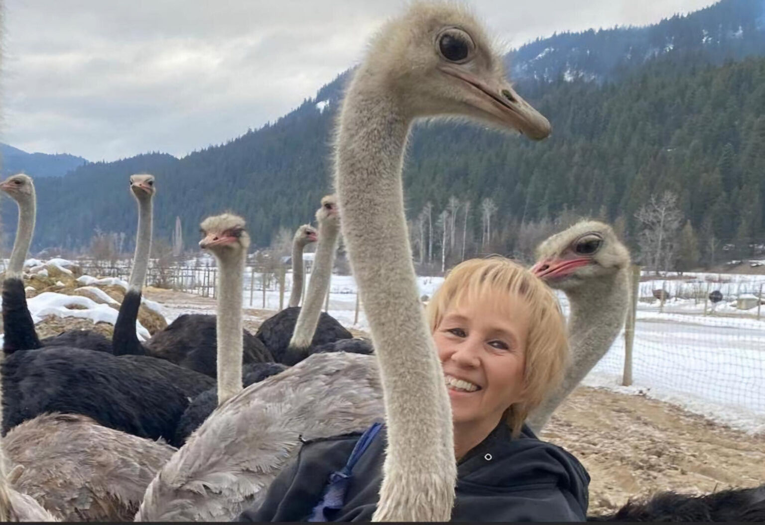 DRUTHERS - NEWS & INFORMATION MAINSTREAM MEDIA WON'T COVER!